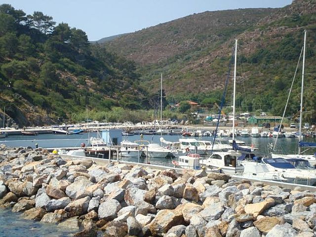 isola capraia porto - gonews.it