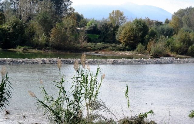 Fiume Serchio, rafforzare gli argini e una nuova idrovora sul ...
