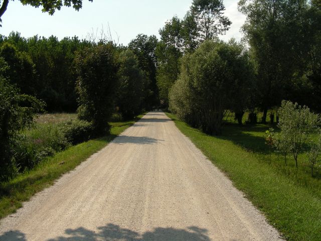 Votata la riorganizzazione delle strade extraurbane - gonews.it